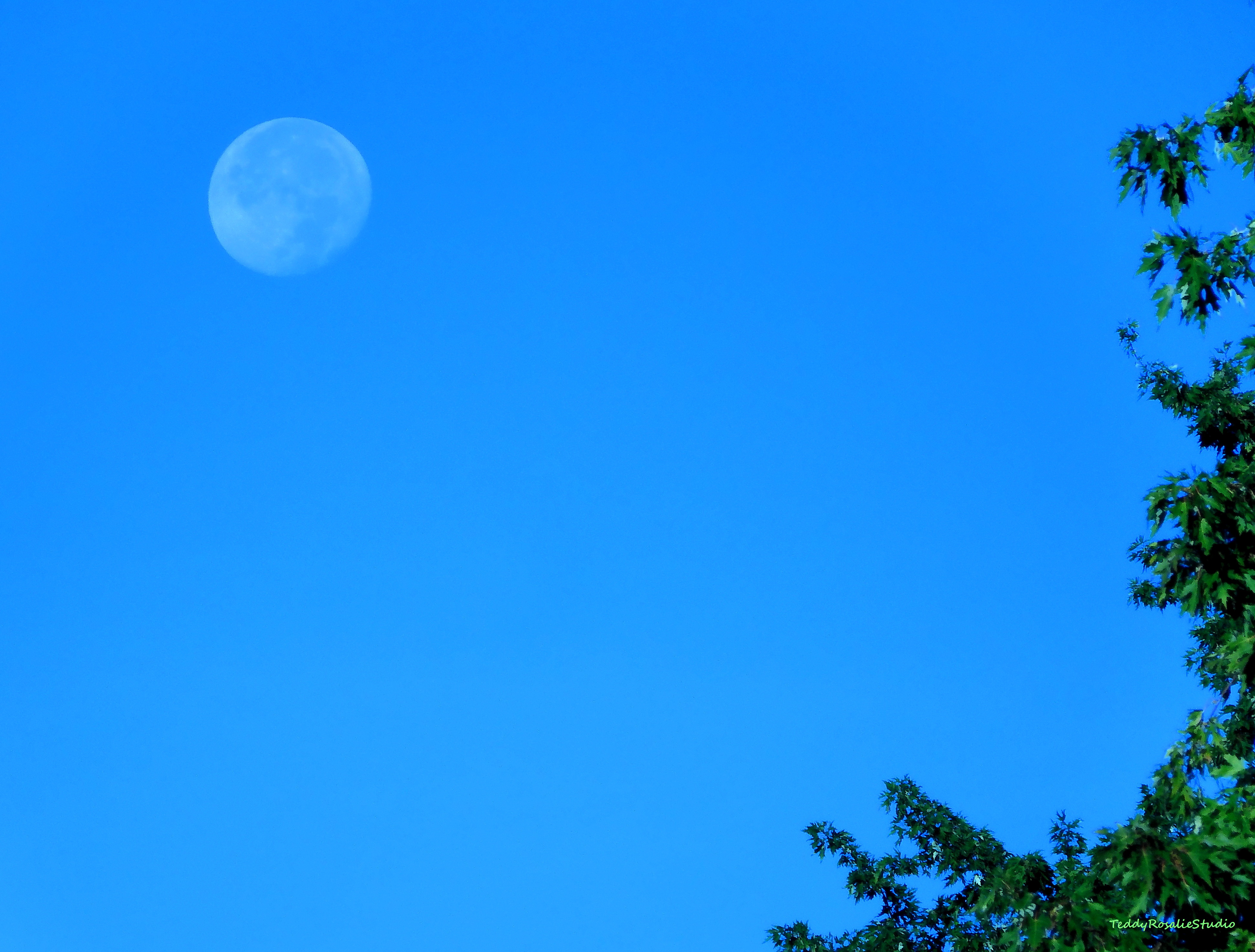 Full Moon Labor Day Weekend | Cordelia's Mom, Still