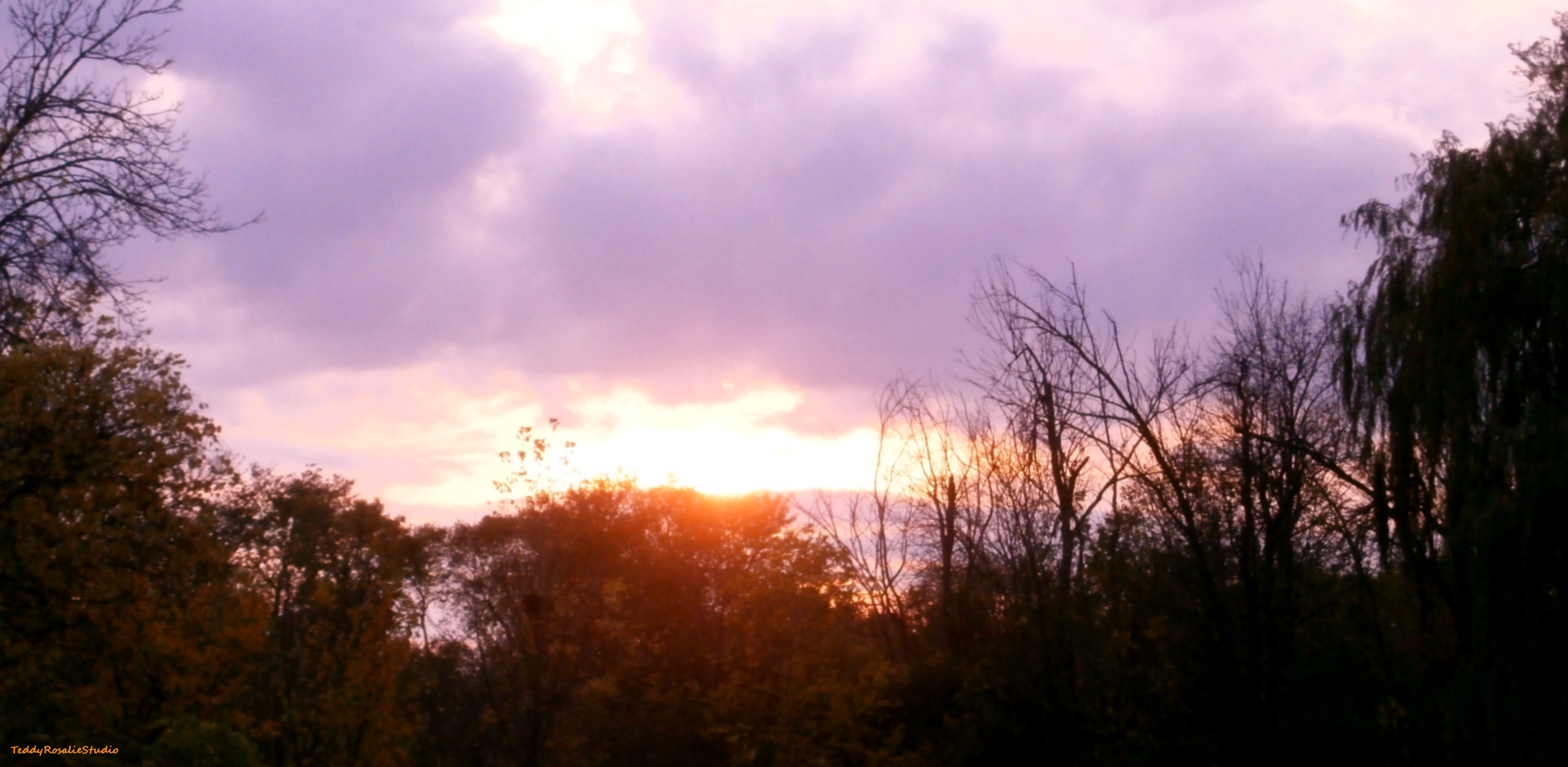 Seeing the Light | Cordelia's Mom, Still