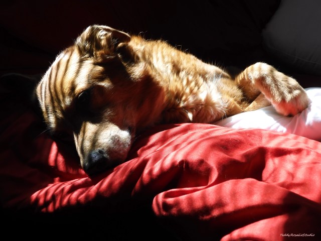 In the Doldrums | Cordelia's Mom, Still